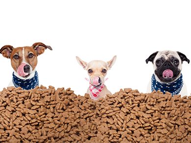 Hochwertiges Freiland Futter in Graz | Zoo Muser GmbH