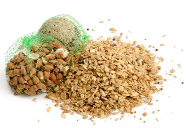 Tierfutter in Graz und Grall bei Leibnitz in der Steiermark